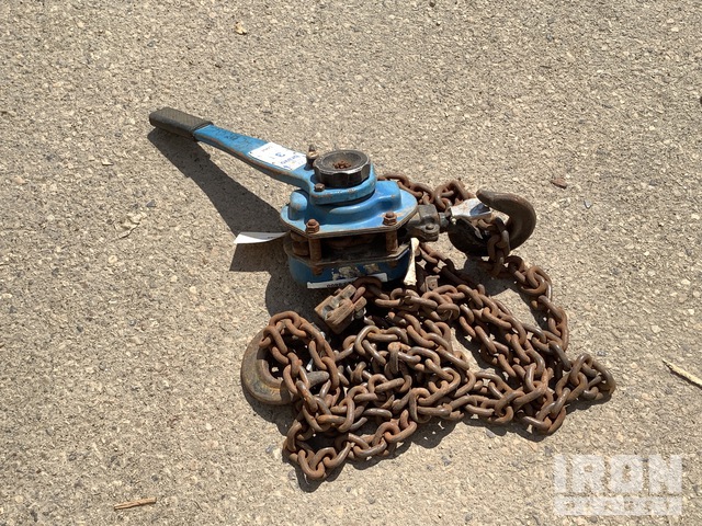 Bravo Chain Hoist in Edmonton, Alberta, Canada (IronPlanet Item #6890772)