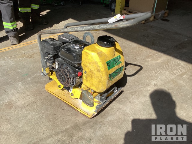 2016 Wacker Neuson VP1135AW Vibratory Plate Compactor in Fort ...