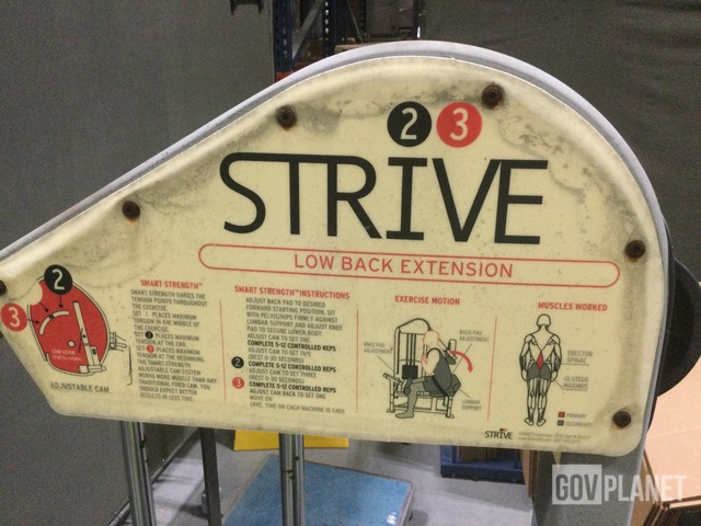 Surplus Strive Smart Strength Low Back Extension Machine in ...