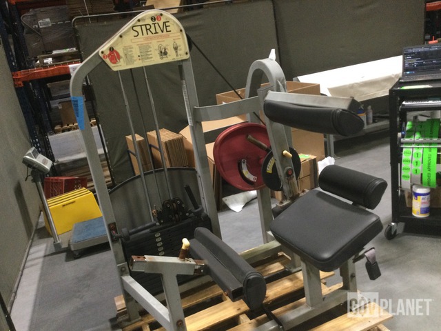 Surplus Strive Smart Strength Low Back Extension Machine in ...