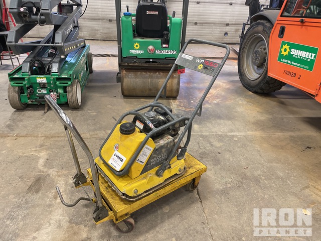 2017 Wacker Neuson WP1550AW Vibratory Plate Compactor in Saskatoon ...