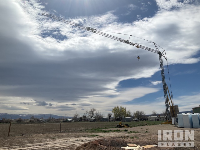 2001 Comedil CBR 36 H 4000 kg Tower Crane in Grand Junction, Colorado ...