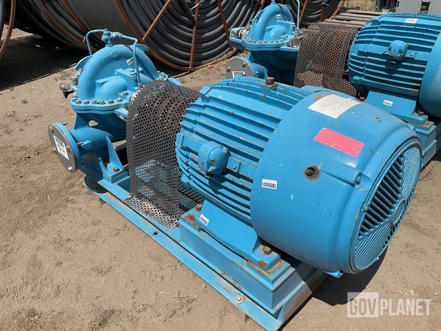 Surplus Paco Pumps 3260161XX5046X294XEE Split Case Pump in Pasco ...