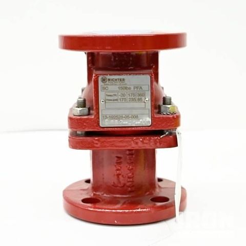 RICHTER BC 150LBS PFA Lot of 2 - Check Valve Pressure Boundary Solid ...