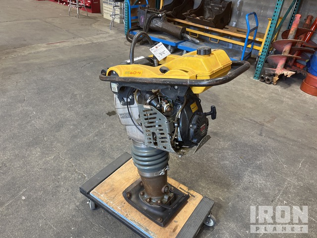 Wacker Neuson BS60-4AS Jumping Jack Tamper in Honolulu, Hawaii, United ...