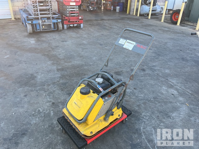Wacker Neuson WP1550AW Vibratory Plate Compactor in Kapolei, Hawaii ...