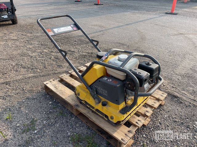 2019 Wacker WP1550AW Vibratory Plate Compactor in Woodstock, Ontario ...
