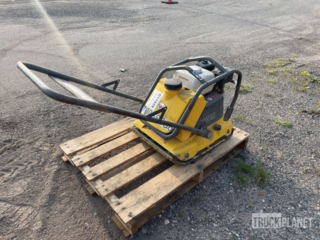 2019 Wacker WP1550AW Vibratory Plate Compactor in Woodstock, Ontario ...