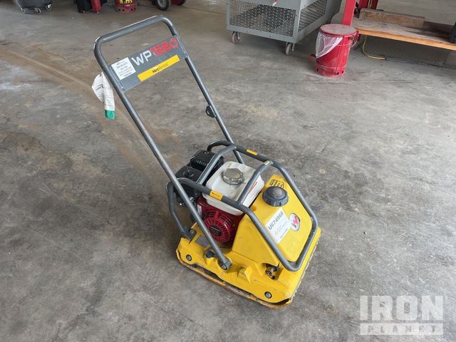 Wacker Neuson WP1550AW Vibratory Plate Compactor in Williston, North ...