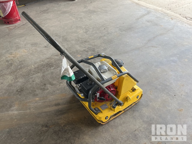 Wacker Neuson WP1550AW Vibratory Plate Compactor in Williston, North ...