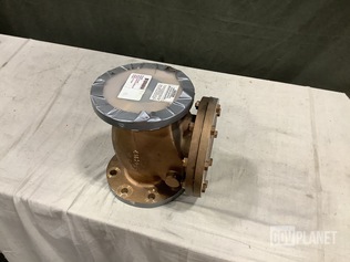 Surplus (2) Check Valves in Chambersburg, Pennsylvania, United States ...