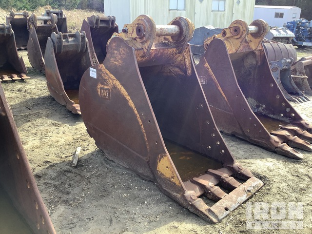 Cat 36 in Excavator Bucket in Dorchester, South Carolina, United States ...