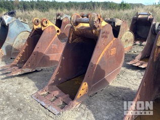 Cat 36 in Excavator Bucket in Dorchester, South Carolina, United States ...