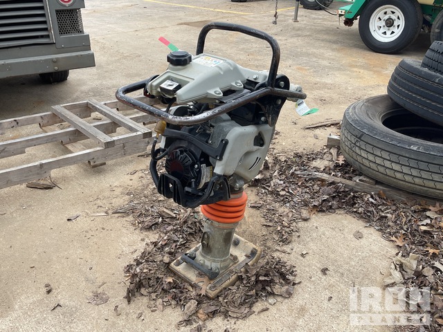 2019 Multiquip MTX-60HD Jumping Jack Tamper in Denton, Texas, United ...