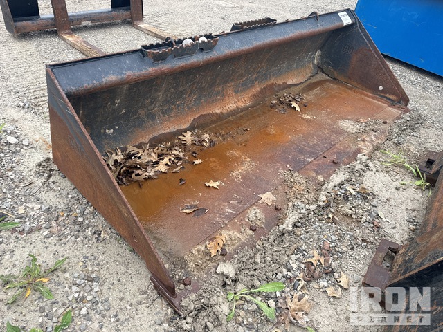 Cat 87 in Skid Steer Bucket in Troy, Illinois, United States ...