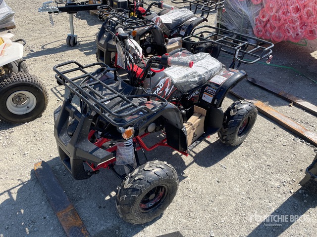2023 Tao Motor D125 ATV | Ritchie Bros. Auctioneers