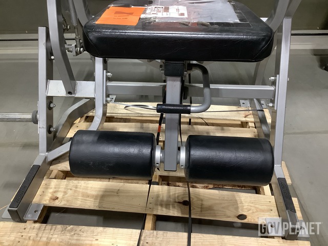 Surplus Hammer Strength Plated-Loaded Abdominal Oblique Crunch Machine ...