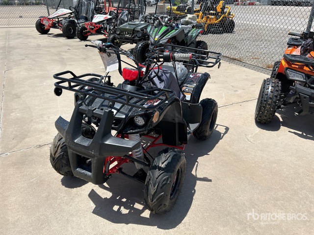 Tao D125 4x4 ATV | Ritchie Bros. Auctioneers