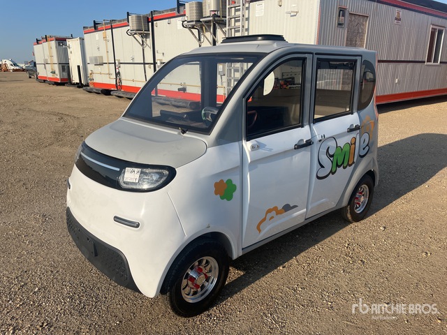 2024 Raccoon RC-G100 4x2 Electric Utility Vehicle (Unused) | Ritchie ...