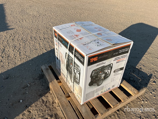 TMG 12000GE 12 Kw Portable Generator Set (Unused) | Ritchie Bros ...