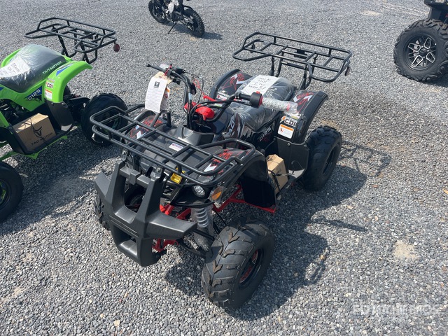 2023 Tao D125 4x2 ATV | Ritchie Bros. Auctioneers