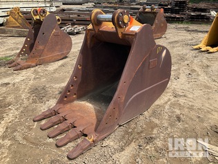 Cat 40 in Excavator Bucket in Correctionville, Iowa, United States ...
