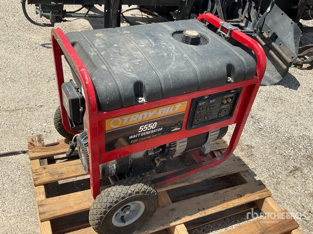 Troy-Bilt 01919 Portable Generator Set | Ritchie Bros. Auctioneers