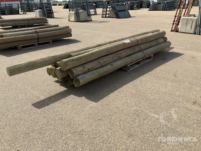 Quantity of (12) 6 in to 7.5 in x 10 ft to 12 ft Post | Ritchie Bros ...