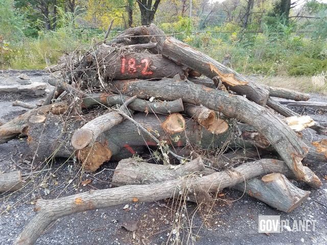 One Tandem load of Oak logs in Salem, Virginia, United States ...