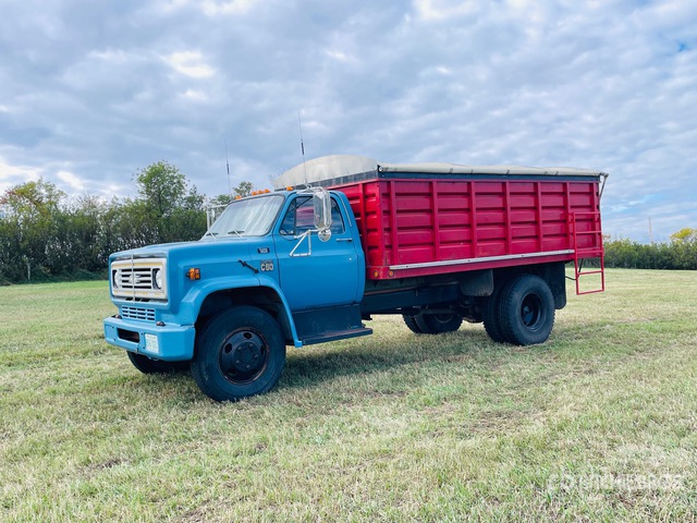 1976 Chevrolet C60 Custom Deluxe 4x2 Grain Truck | Ritchie Bros ...