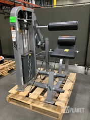 Surplus Life Fitness Back Extension Machine in Chambersburg ...