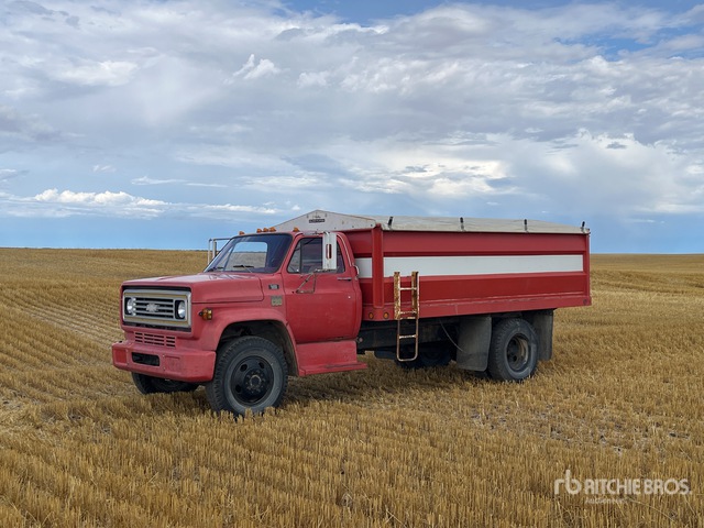 1977 Chevrolet C60 Custom Deluxe 4x2 Grain Truck | Ritchie Bros ...