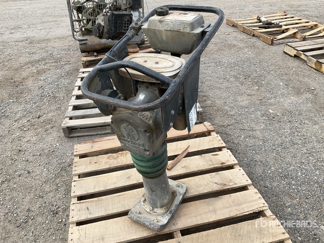 Wacker Jumping Jack Tamper | Ritchie Bros. Auctioneers