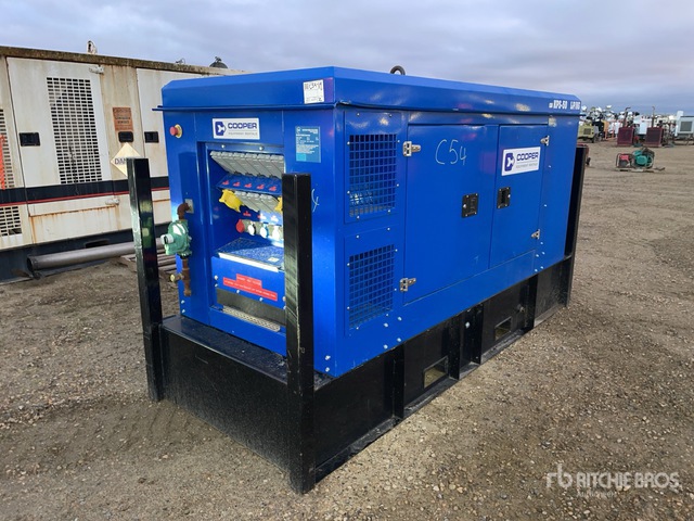 2021 KPS KPS-50-3 LP/NG 40 kW Skid-Mounted Generador | Ritchie Bros ...