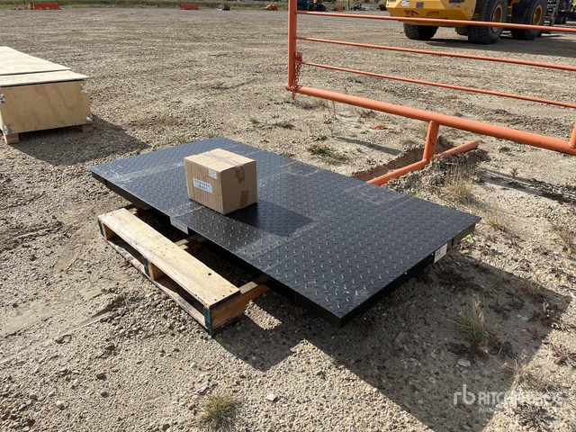 TMG FS10 10 ton Platform Scale (Unused) | Ritchie Bros. Auctioneers