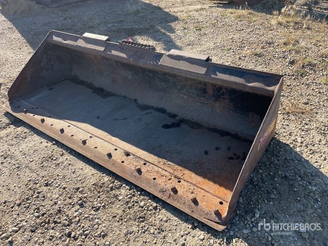 Cat 78 in Skid Steer Bucket | Ritchie Bros. Auctioneers