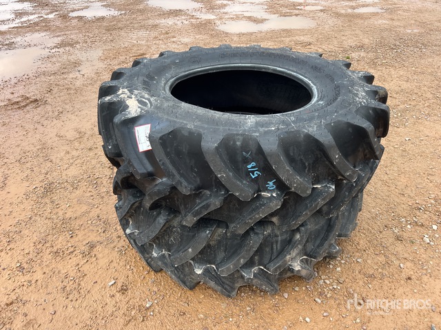 Firestone 420/85R28 Qte De 2 Pneus Qty Of 2 Tires | Ritchie Bros ...
