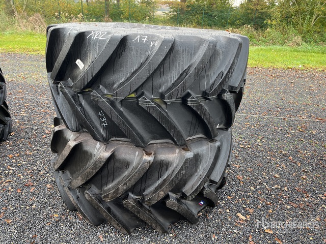 Quantity of (2) Mitas 710/60R30 TL 162 D SFT Neumáticos | Ritchie Bros. Auctioneers