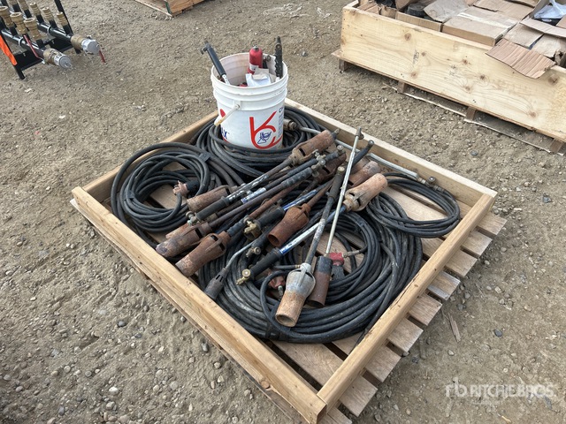 Quantity of Tiger Torches | Ritchie Bros. Auctioneers