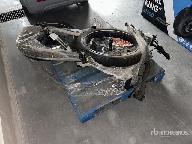 2024 Kandi Trail King MT750 Electric Bicycle (Unused) | Ritchie Bros ...