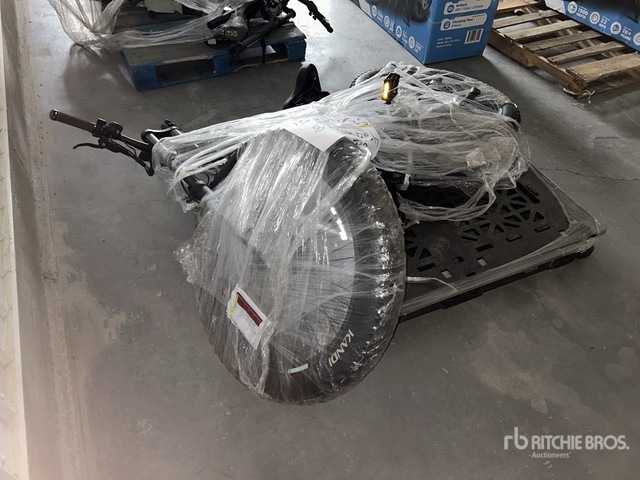 2024 Kandi Trail King MT750 Electric Bicycle | Ritchie Bros. Auctioneers