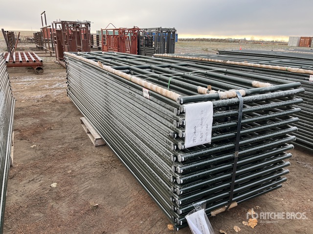 Quantity of (24) BYT RG16 16 ft x 4 ft Steel Ranch Livestock Gate ...