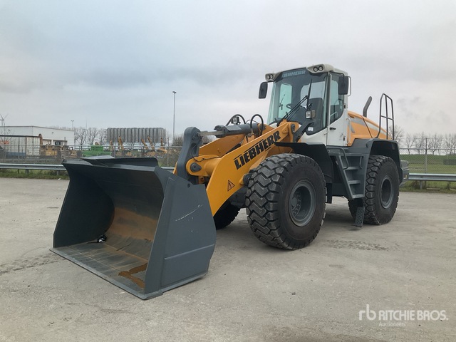 Liebherr L550 Wheel Loader | Ritchie Bros. Auctioneers