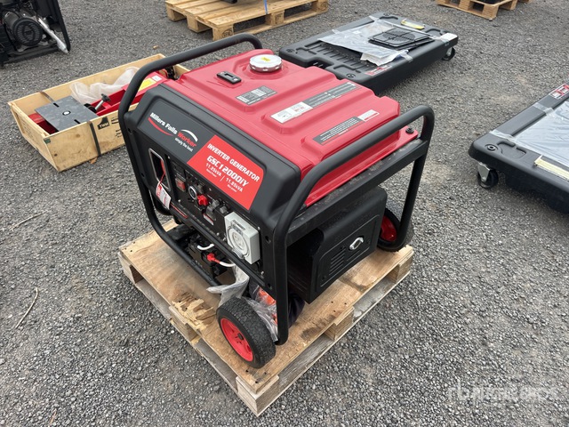 Multiquip 11.85 kVA Inverter Generator Set (Unused) | Ritchie Bros ...