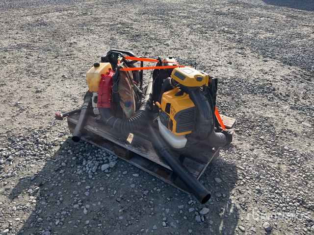 Quantity of (4) Dolmar Leaf Blower | Ritchie Bros. Auctioneers