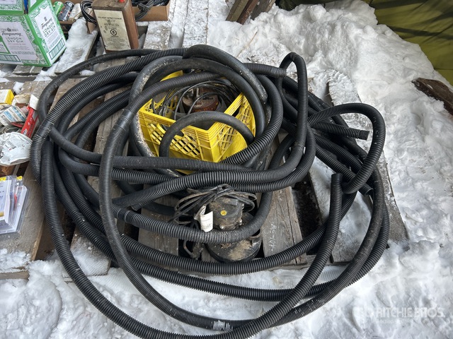 Quantity of (2) Sump Pump with Hose | Ritchie Bros. Auctioneers