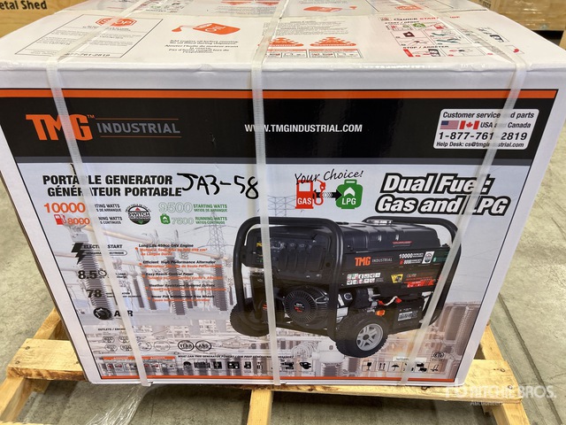 TMG 1000GED 10 kW Portable Generator Set (Unused) | Ritchie Bros ...