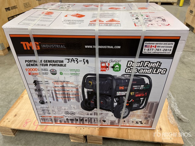 TMG 1000GED 10 kW Portable Generator Set (Unused) | Ritchie Bros ...