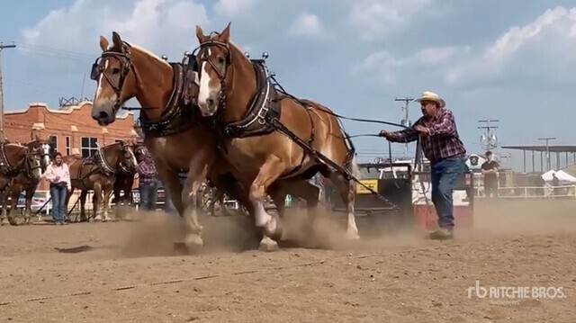 Randy Banga - Stockholm, SK (Dusty & Doc) | Ritchie Bros. Auctioneers