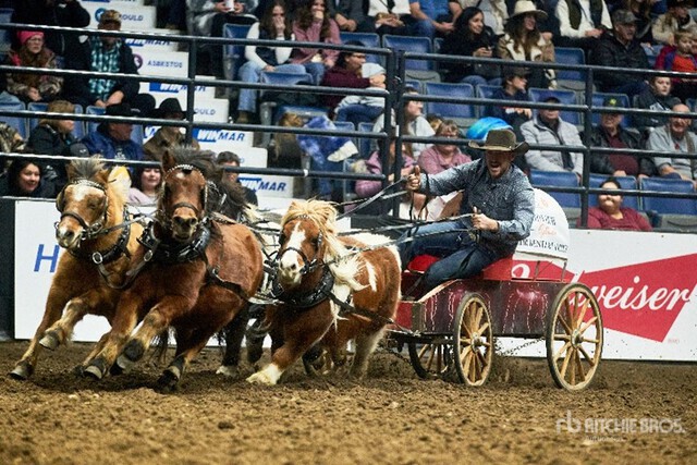 Mini Chuckwagon Team - Buddy Prouse | Ritchie Bros. Auctioneers